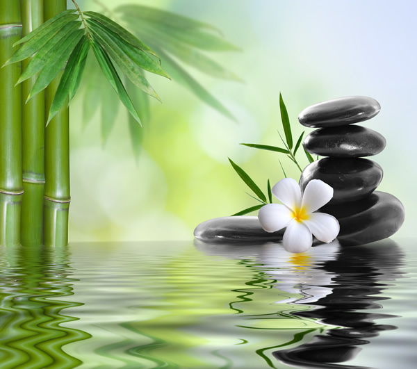 21 Stunning Images You Can Meditate On 21 Stunning Images You Can Meditate On